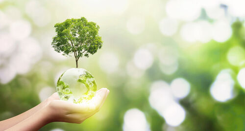 BizLink Silicone | About us